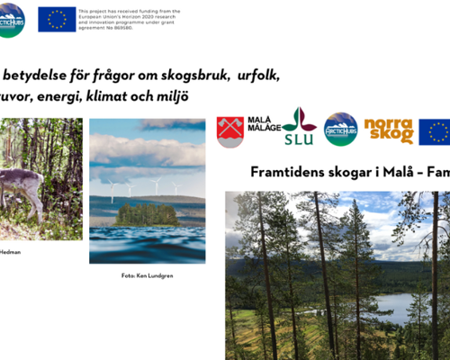 Startsida | Malå Kommun